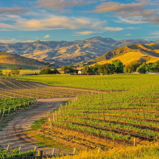 Santa Ynez Wine Trail - Santa Barbara County Vintners